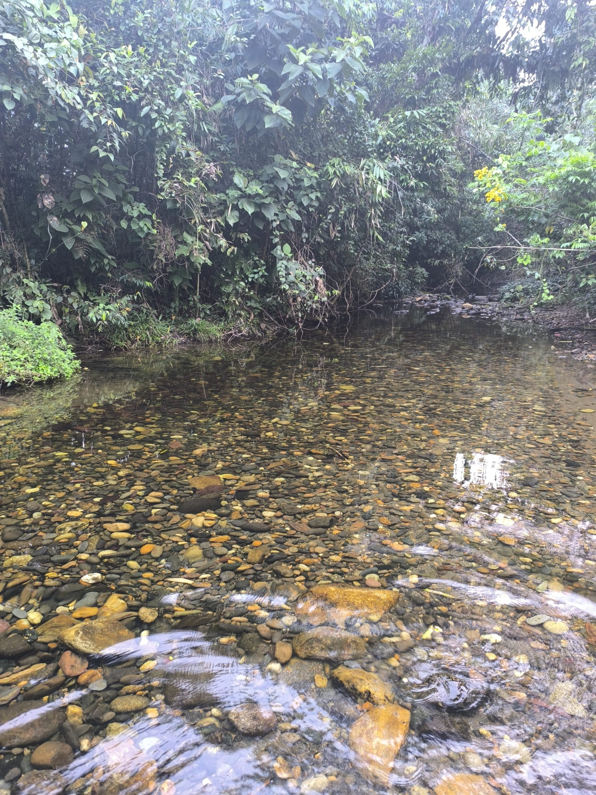 Selva Azul Mayu - ARYTRAVELS